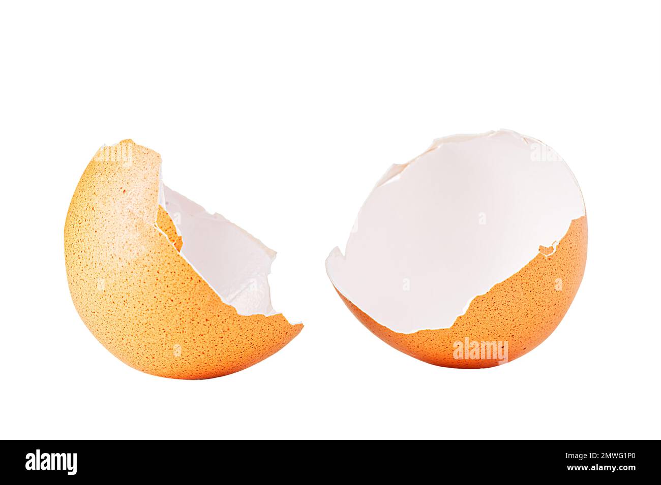 Egg shell isolated on white. Broken egg shell isolated on white Stock ...