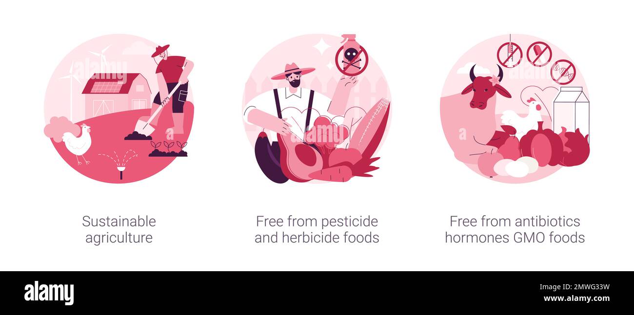 Sustainable organic agriculture abstract concept vector illustration ...