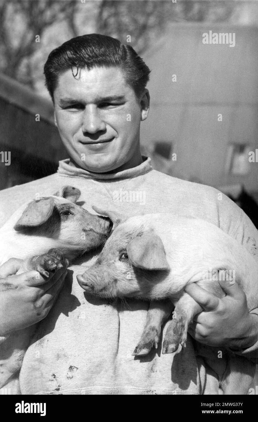 Don Cockell, British and Empire heavyweight boxing champion, is shown ...