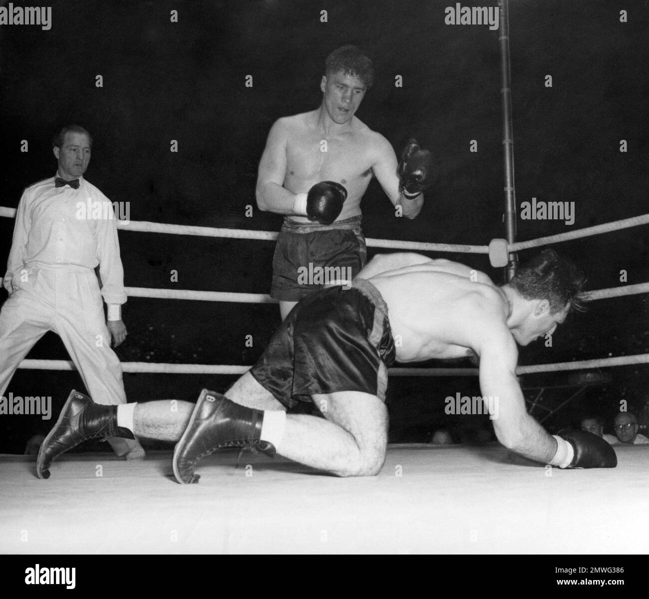 Don Cockell, British cruiserweight champion, stands over Nick Barone of ...
