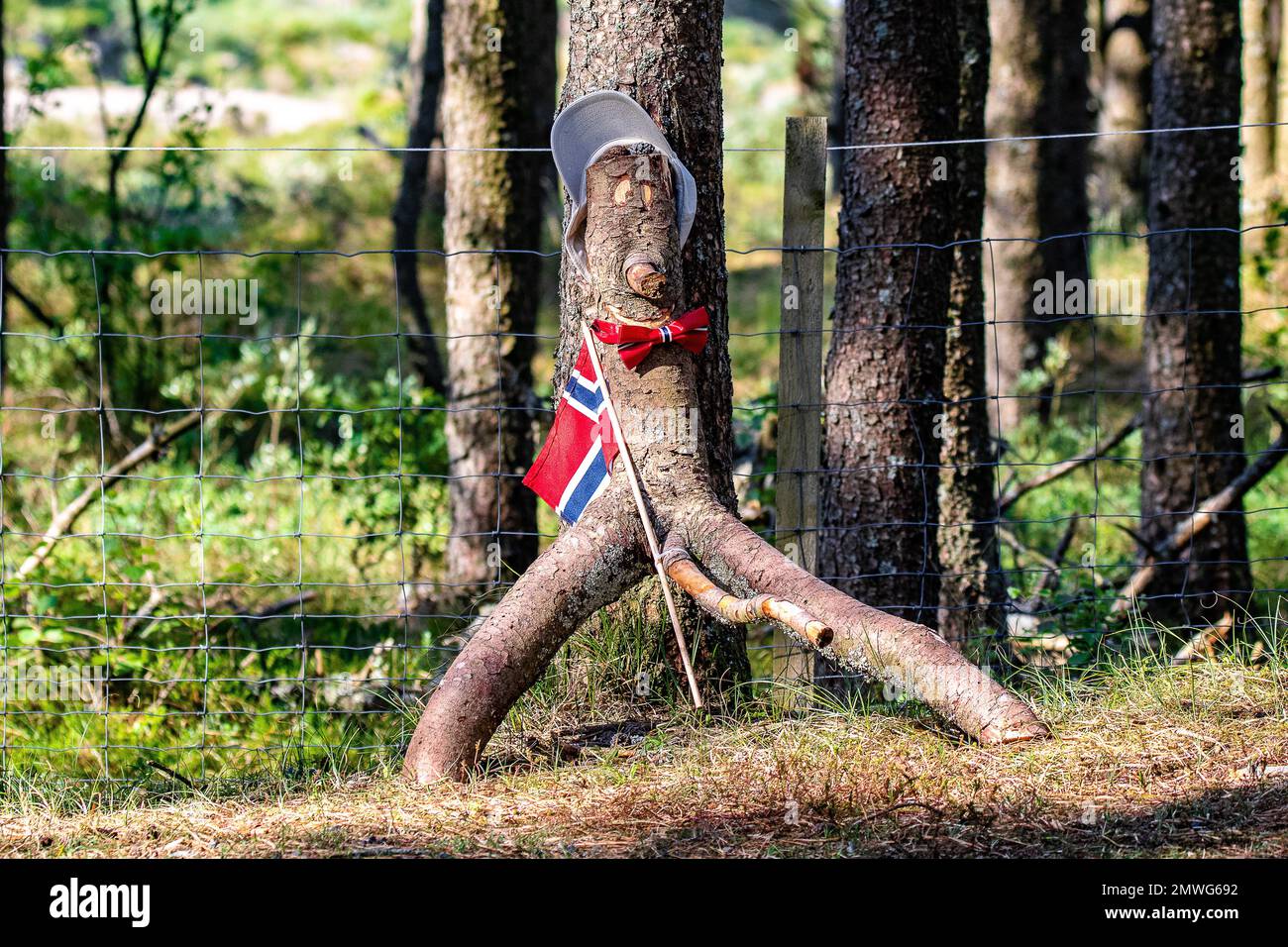 Barbed wire around tree hi-res stock photography and images - Alamy