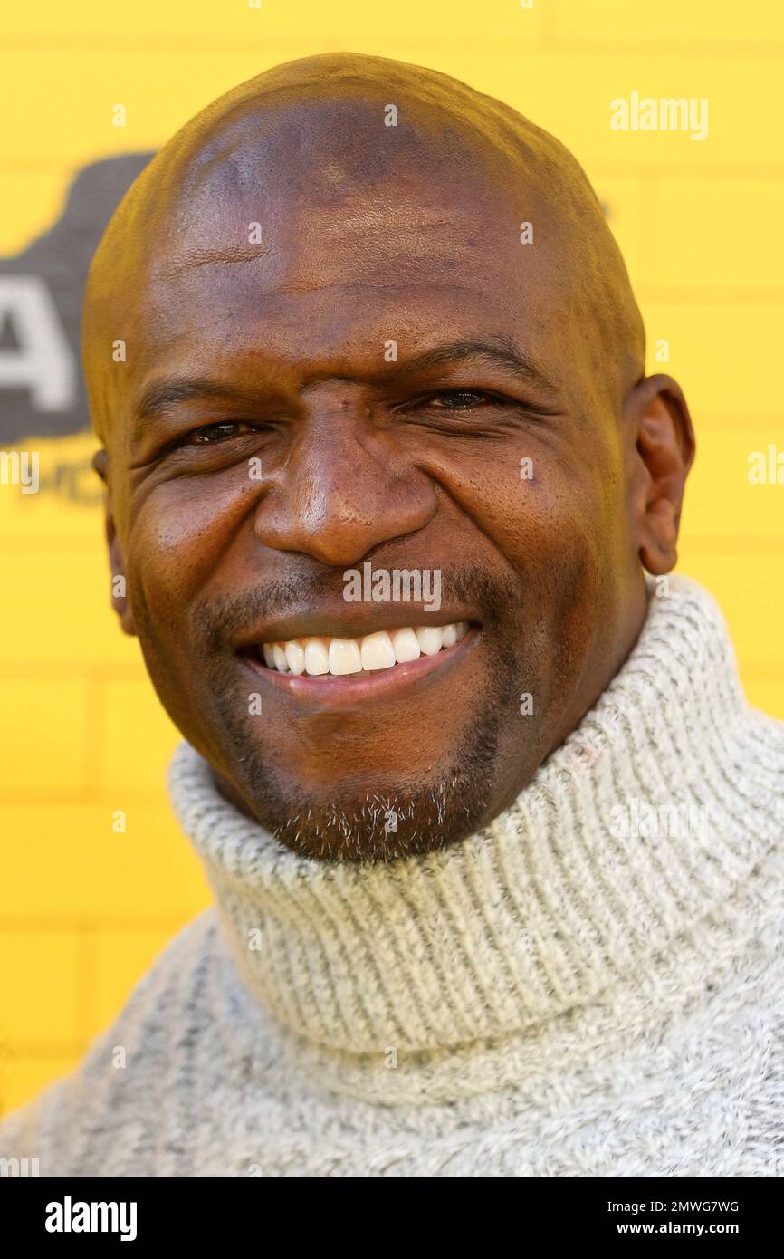 Terry Crews arrives at the LA Premiere of "The Lego Batman Movie" at ...