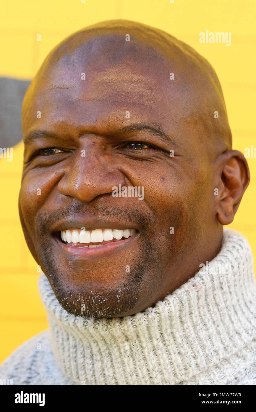 Terry Crews arrives at the LA Premiere of "The Lego Batman Movie" at ...