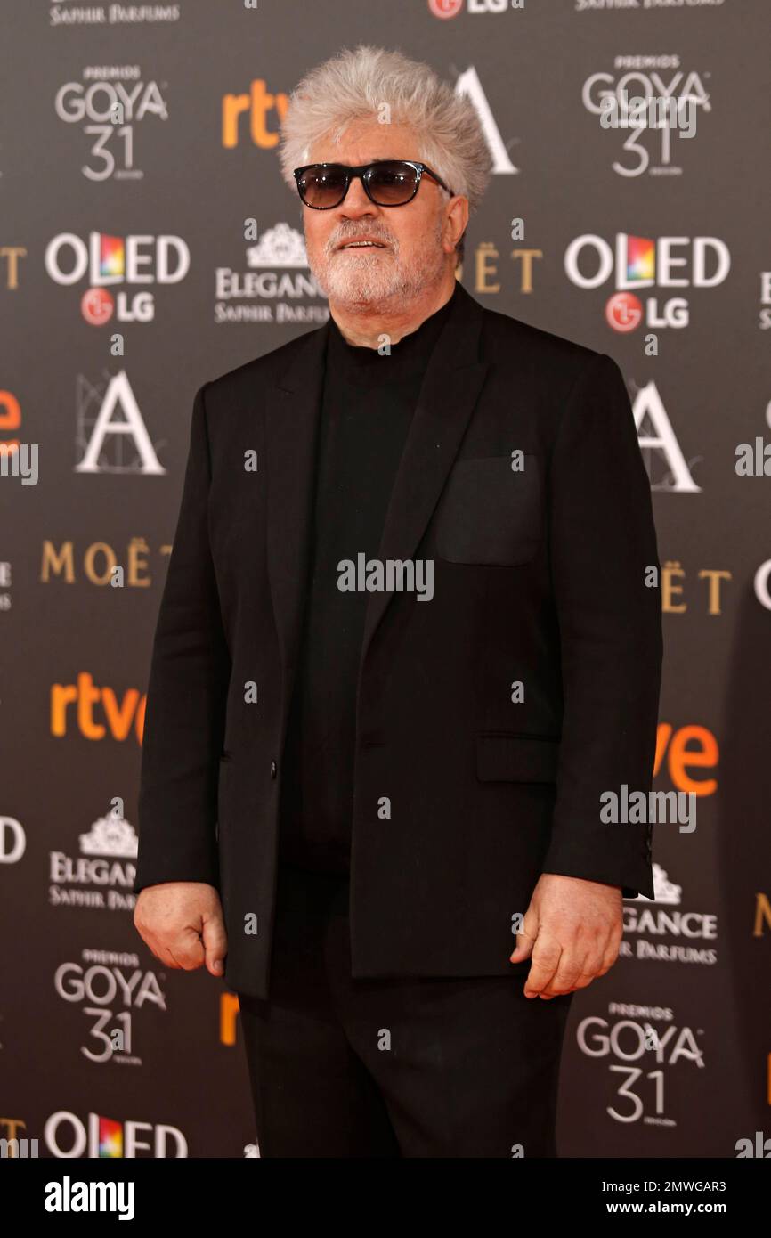 Spanish film director Pedro Almodovar poses for photographers before ...