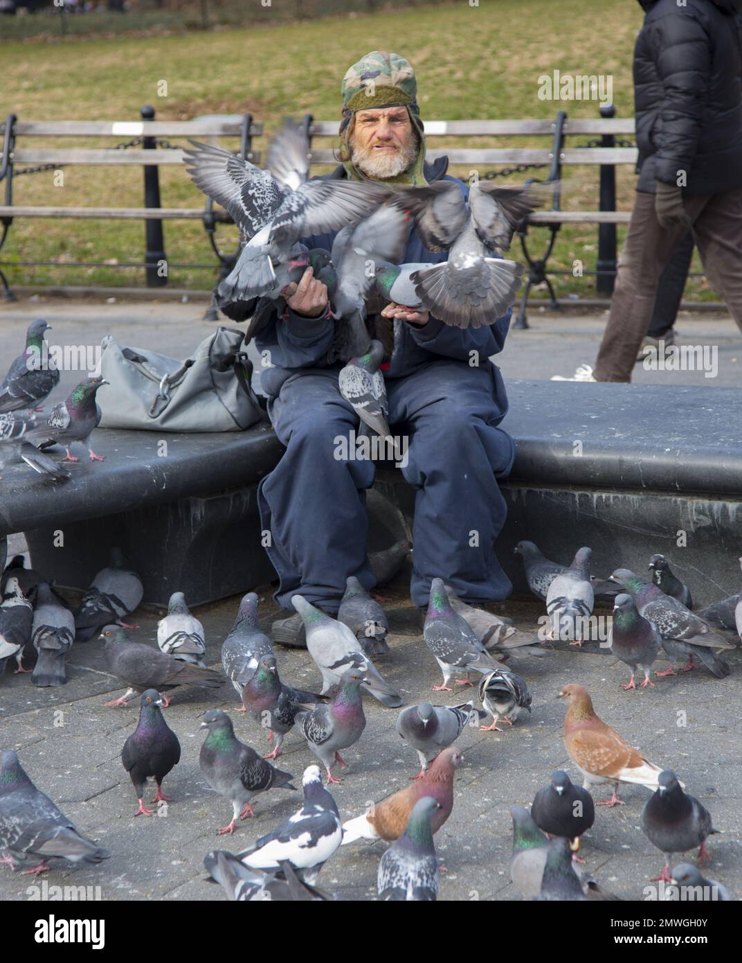 The "Bird Man" of Washington Square Park with the flocks of pigeons ...