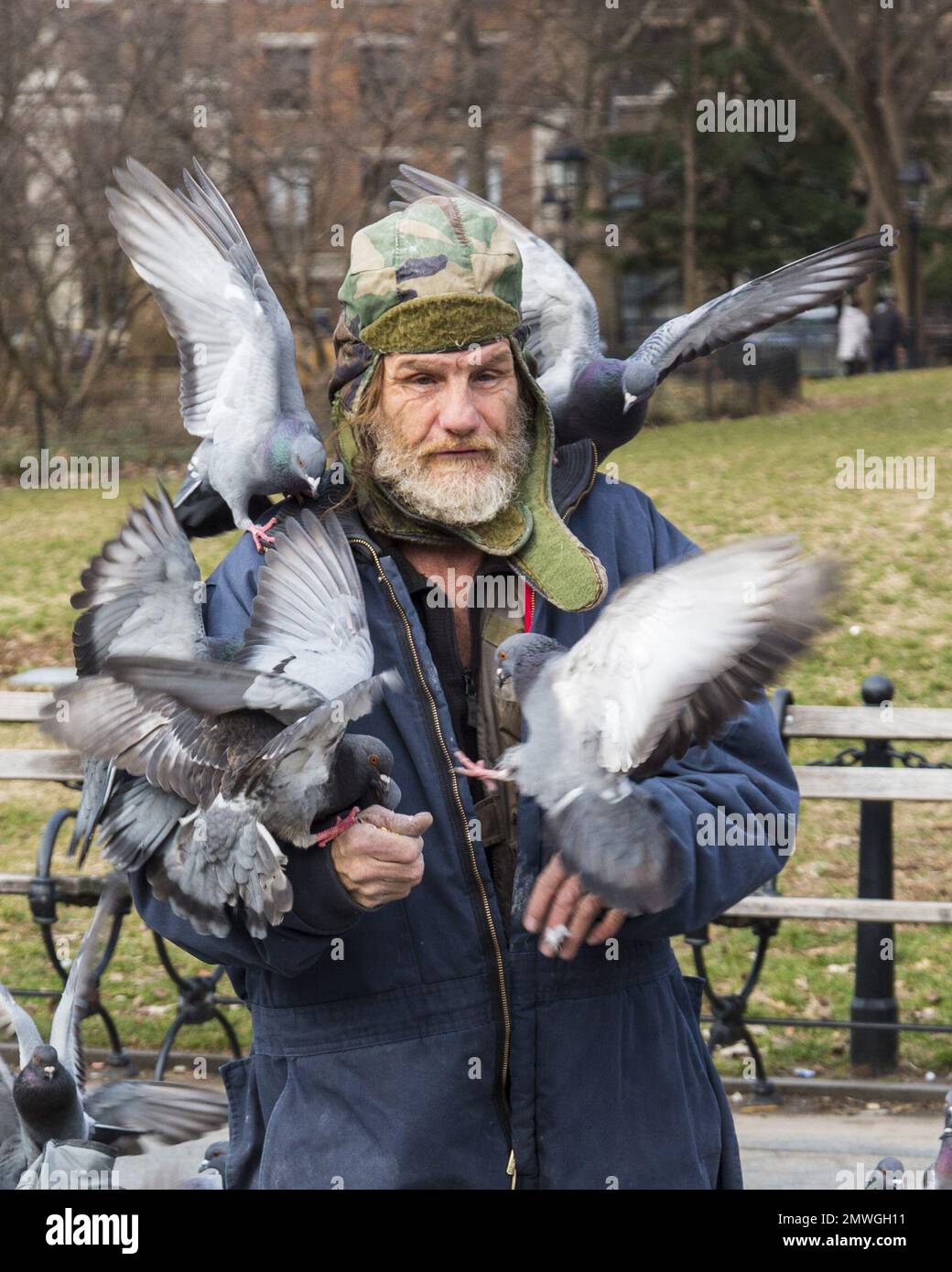 The "Bird Man" of Washington Square Park with the flocks of pigeons ...