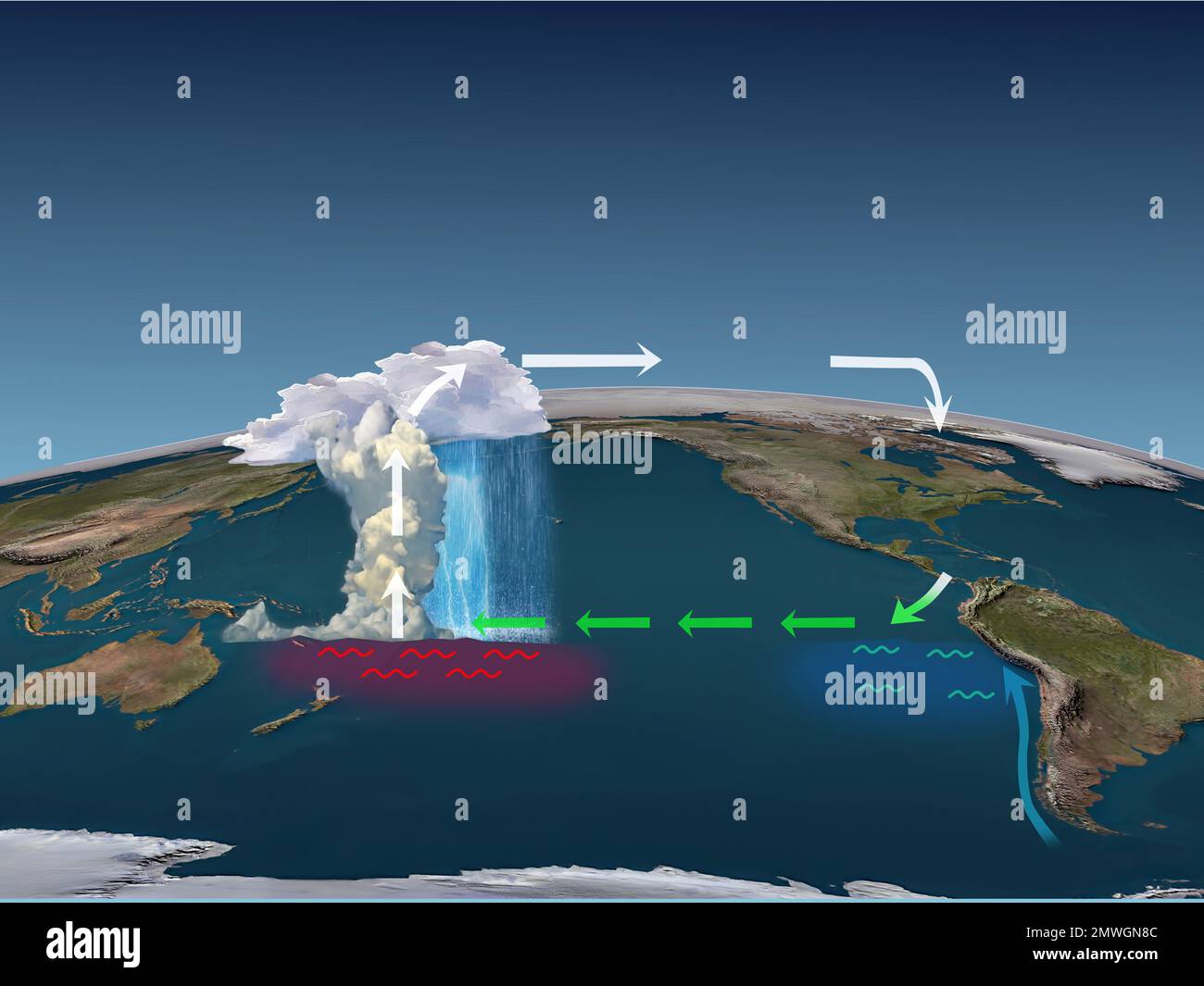 Walker circulation, illustration Stock Photo - Alamy