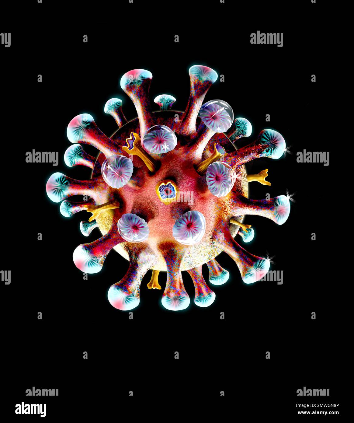 T cell, illustration Stock Photo - Alamy
