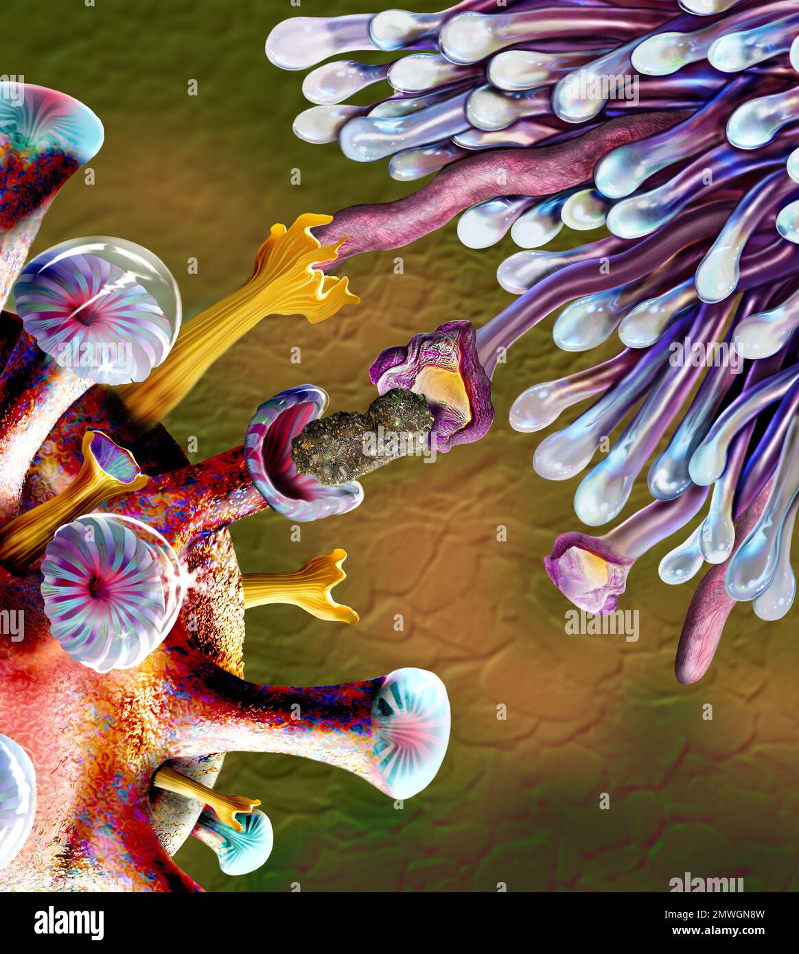 T cell immune checkpoint, illustration Stock Photo - Alamy