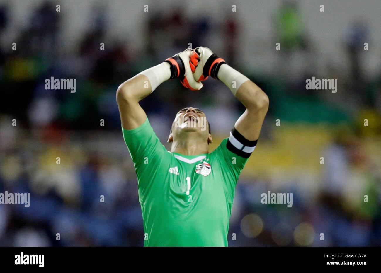 Egypt goalkeeper Essam El Hadary reacts during the African Cup of ...