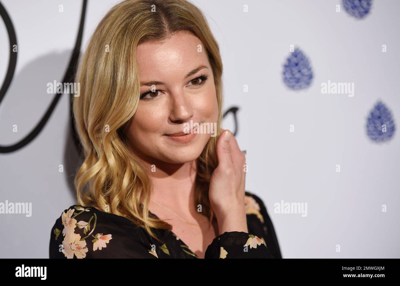 Actress Emily Van Camp poses at the fifth anniversary of designer Tyler ...