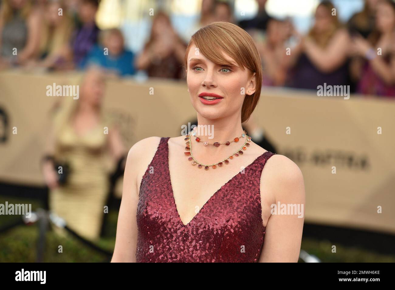 Bryce Dallas Howard arrives at the 23rd annual Screen Actors Guild ...
