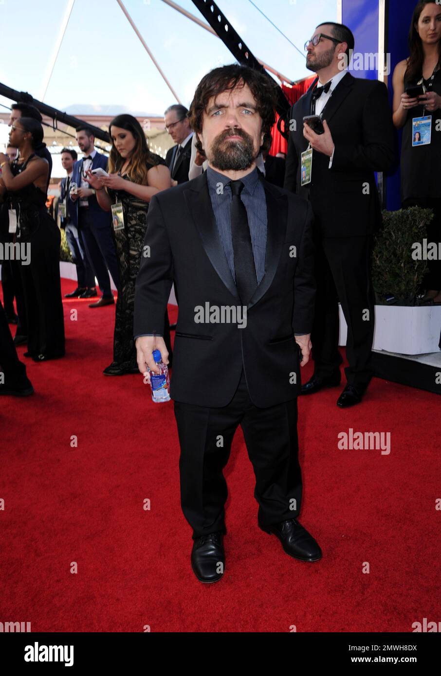 Peter Dinklage arrives at the 23rd annual Screen Actors Guild Awards at ...