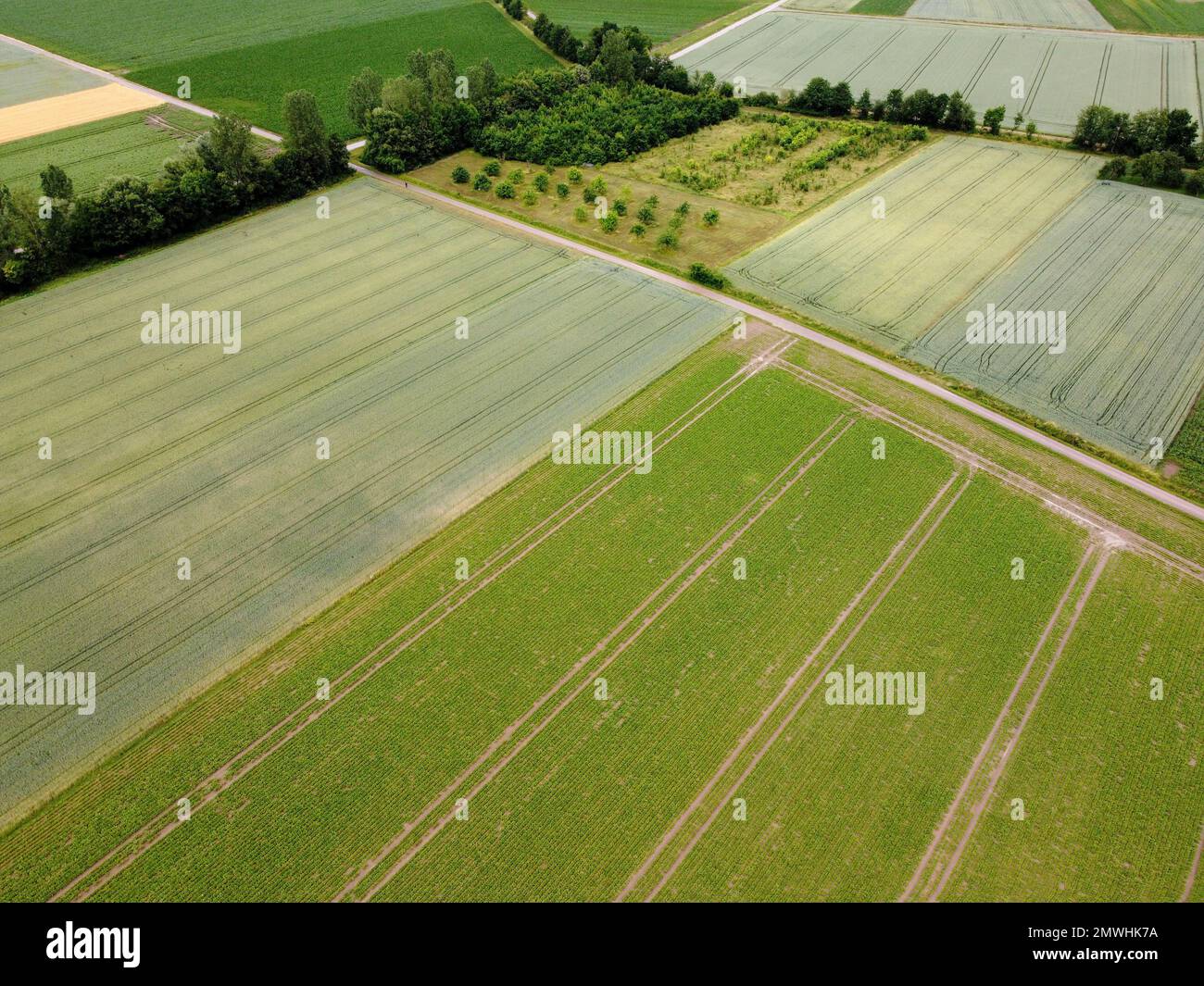 An aerial landscape of the green cultivated farmland Stock Photo - Alamy