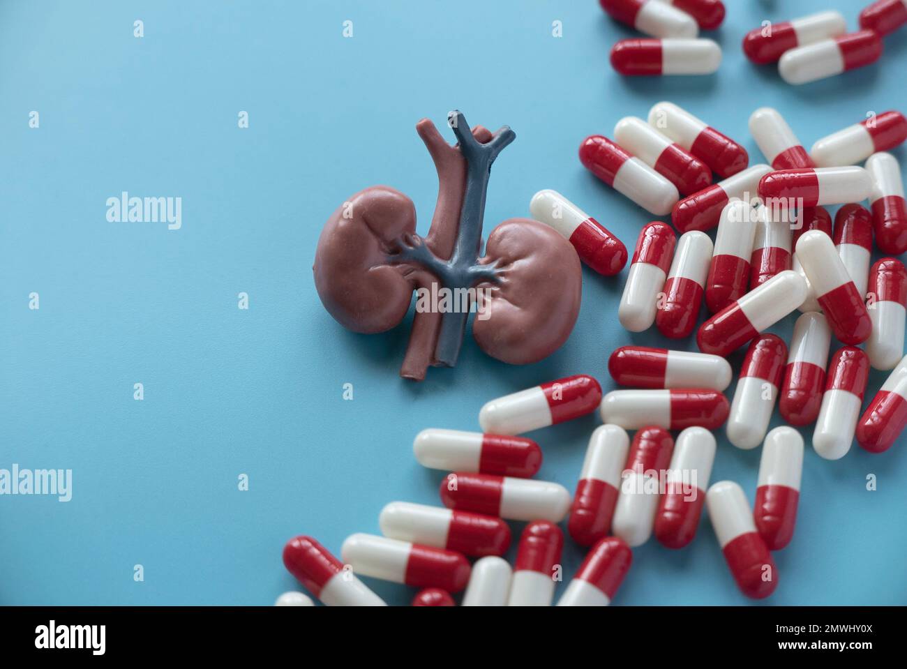 Concept of kidney related disease treatment with medication. Human ...