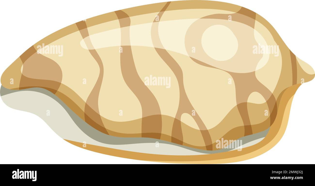 Isolated shell rocky shore illustration Stock Vector Image & Art - Alamy