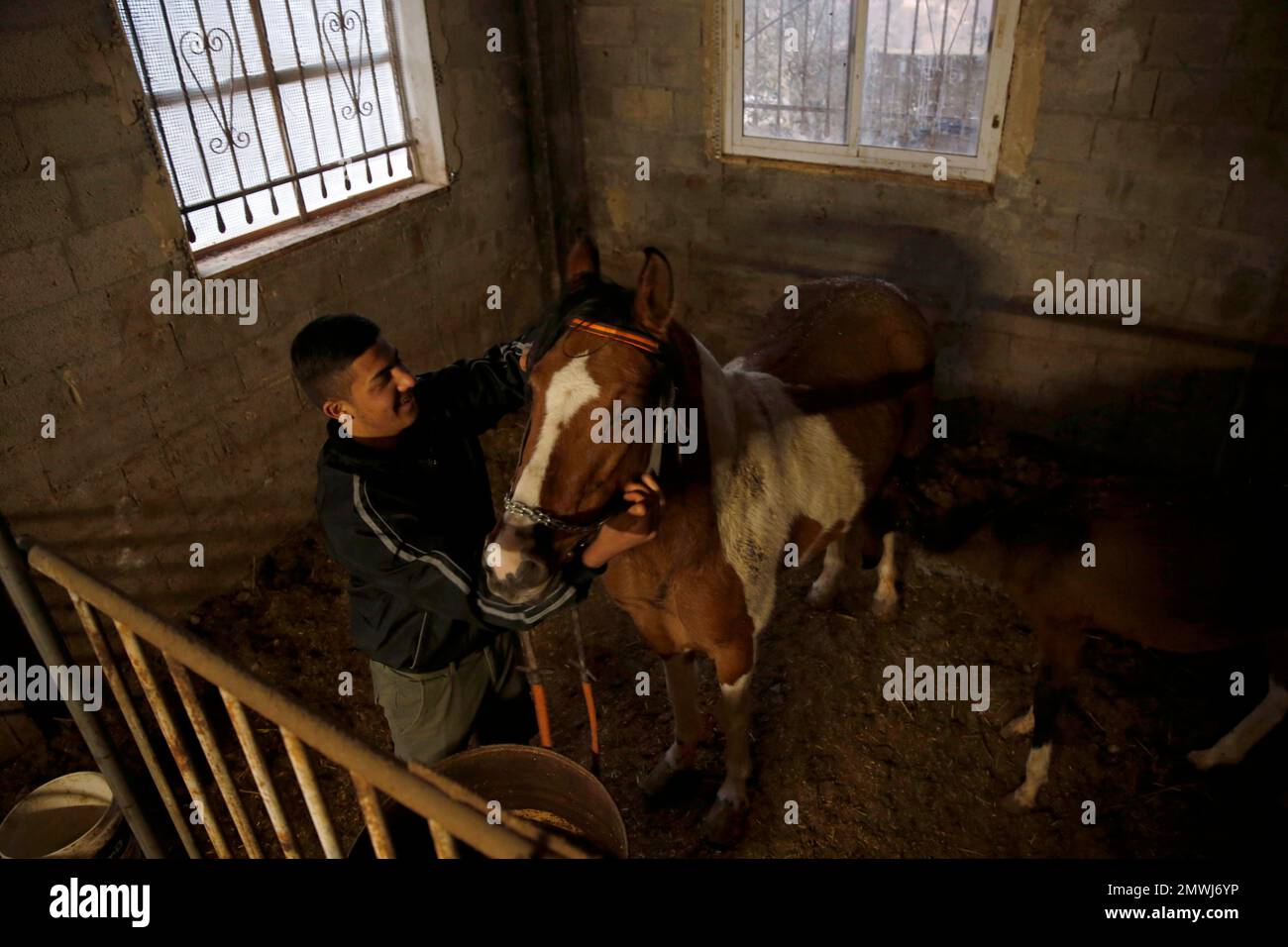 In this Thursday, Jan. 5, 2017 photo, Palestinian Hamza Hamad,16, sees ...