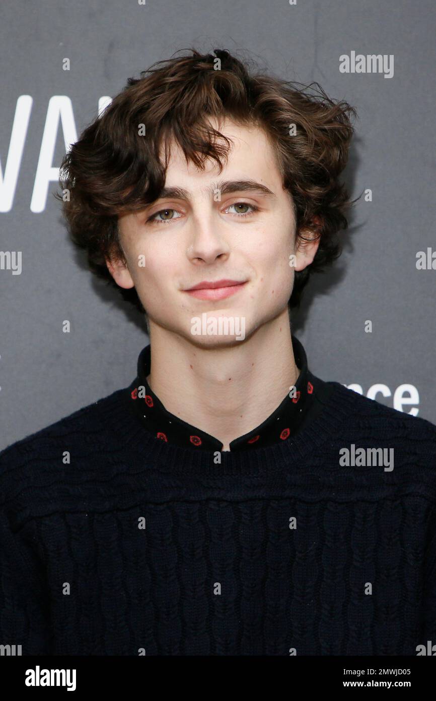 Actor Timothee Chalamet poses at the premiere of "Call Me By Your Name ...