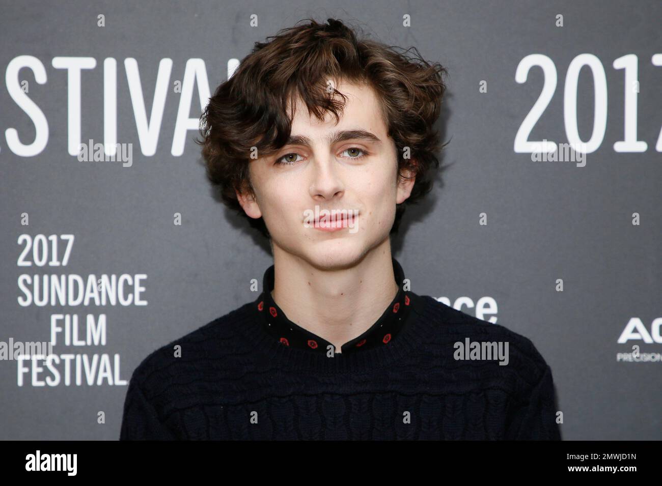 Actor Timothee Chalamet poses at the premiere of "Call Me By Your Name ...