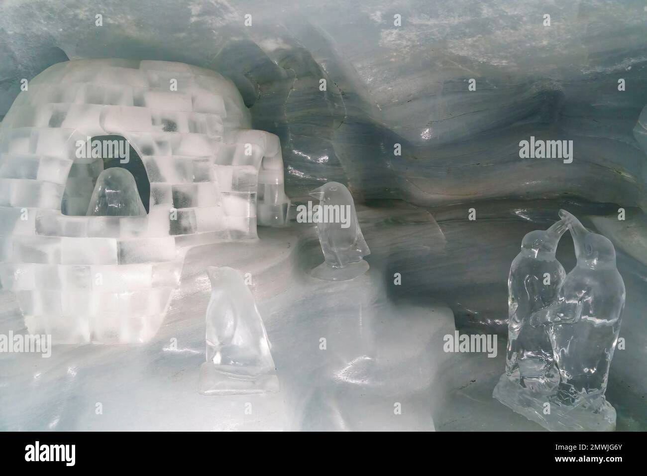 Large ice sculpture of an igloo with penguins inside of a cave Stock ...