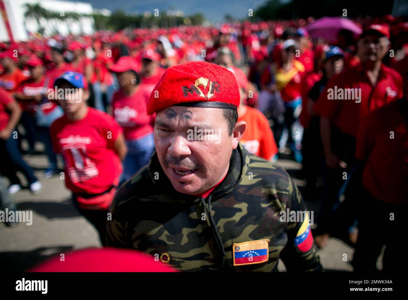 In this Jan. 14, 2017 photo, a pro-government supporter with a logo of ...