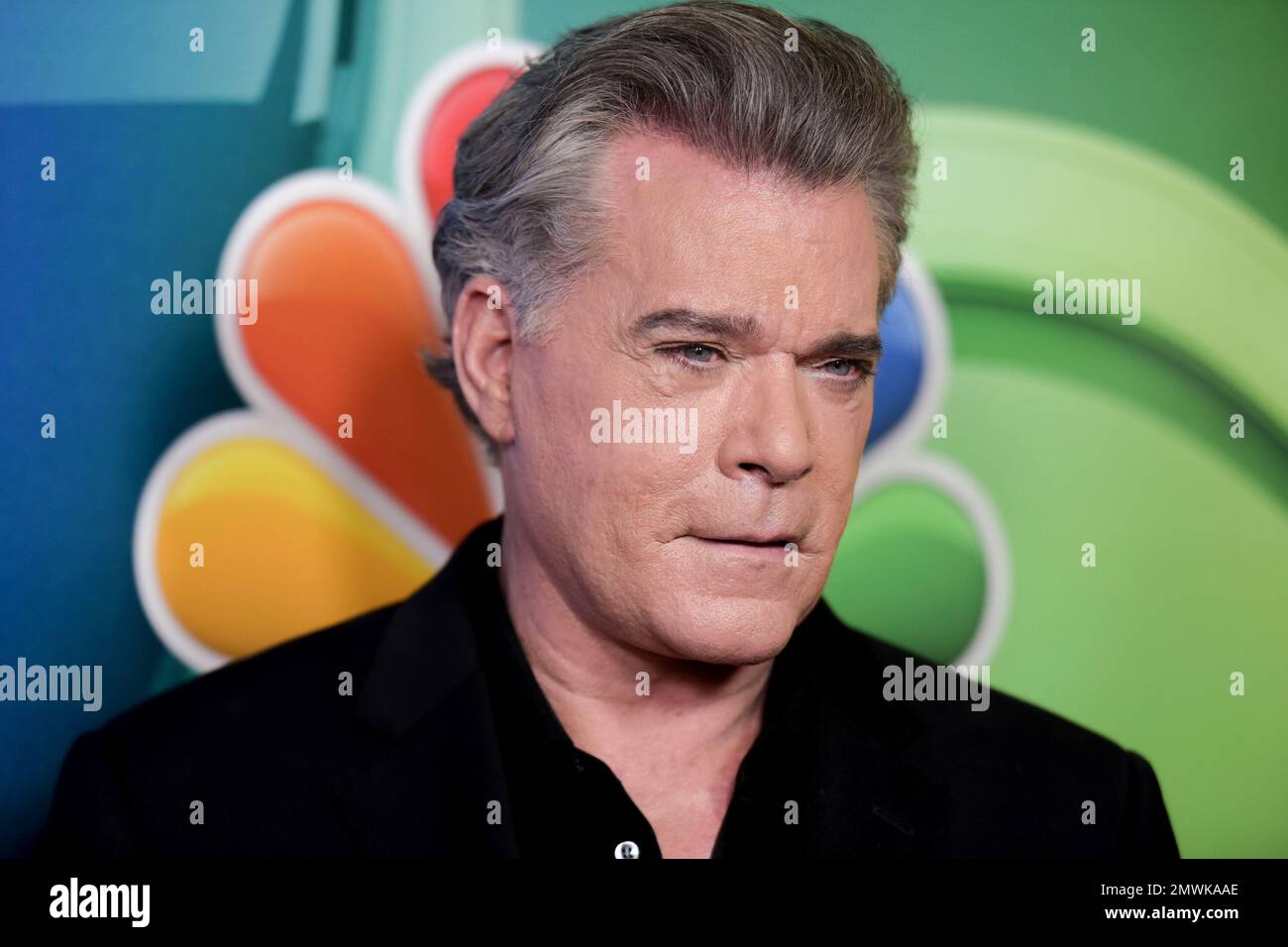 Ray Liotta attends the NBCUniversal portion of the 2017 Winter ...