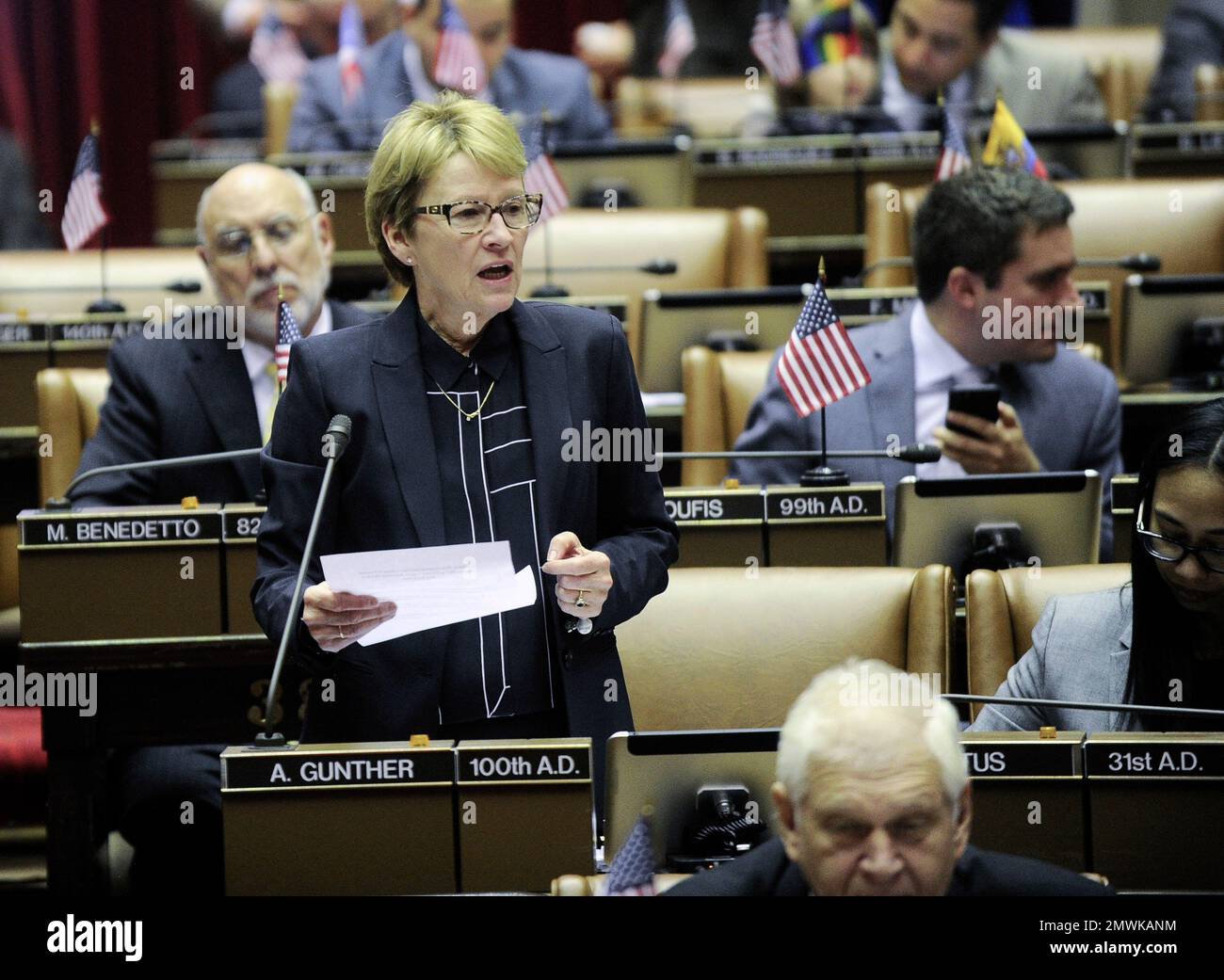 Assemblymember Aileen Gunther, D-Middletown, speaks in the Assembly ...