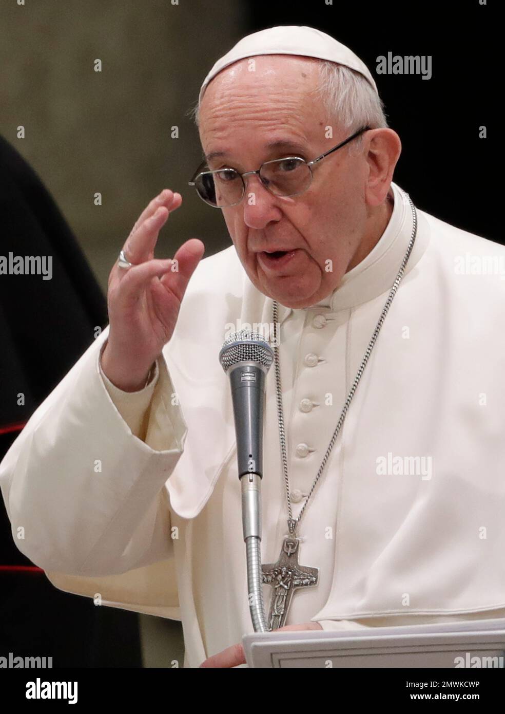 Pope Francis makes the sign of the cross during his weekly general ...
