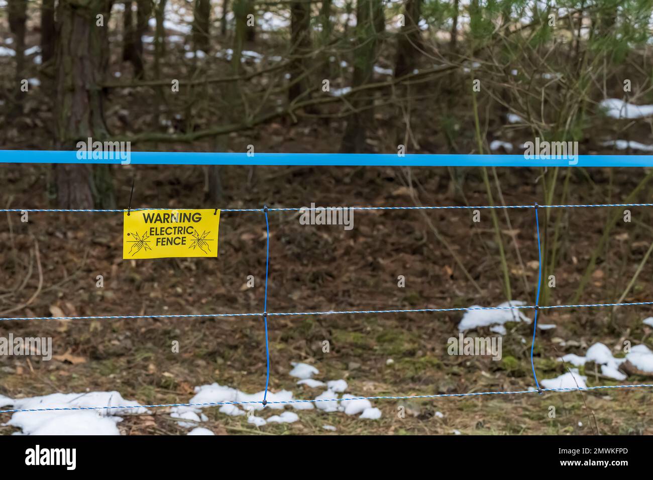 An electric fence in the forest to prevent the spread of swine fever ...