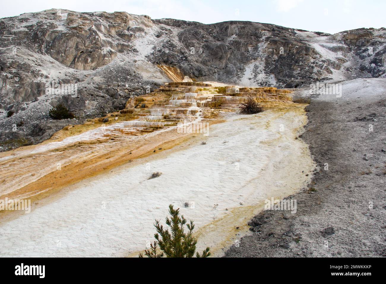 A view of boiling pots in Yellow Stone National park Stock Photo - Alamy