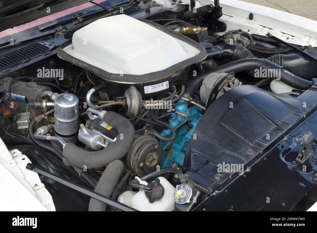 1979 pontiac firebird trans am hi-res stock photography and images - Alamy