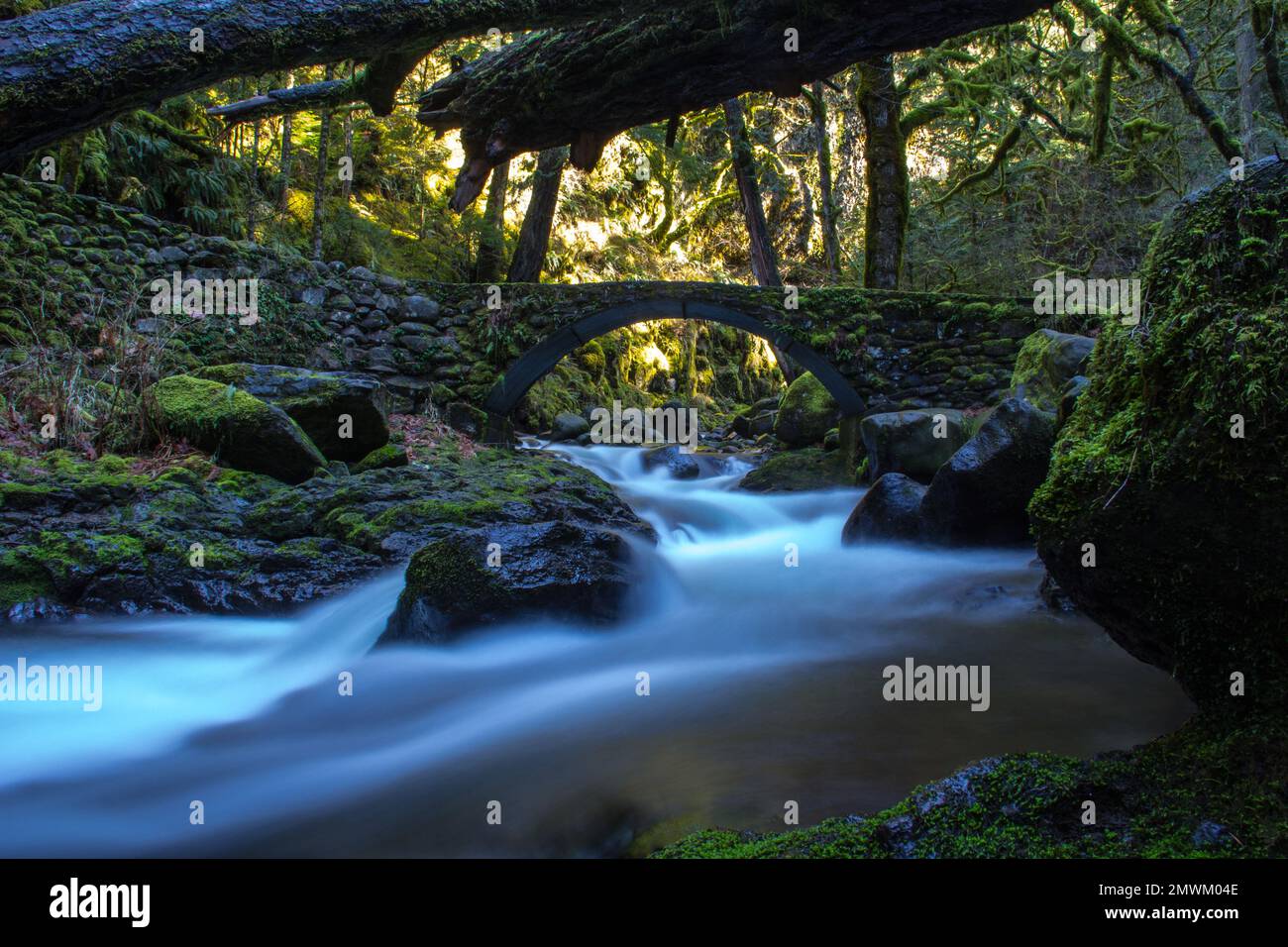A closeup shot od a river under the stone bridge oin the jungle Stock ...