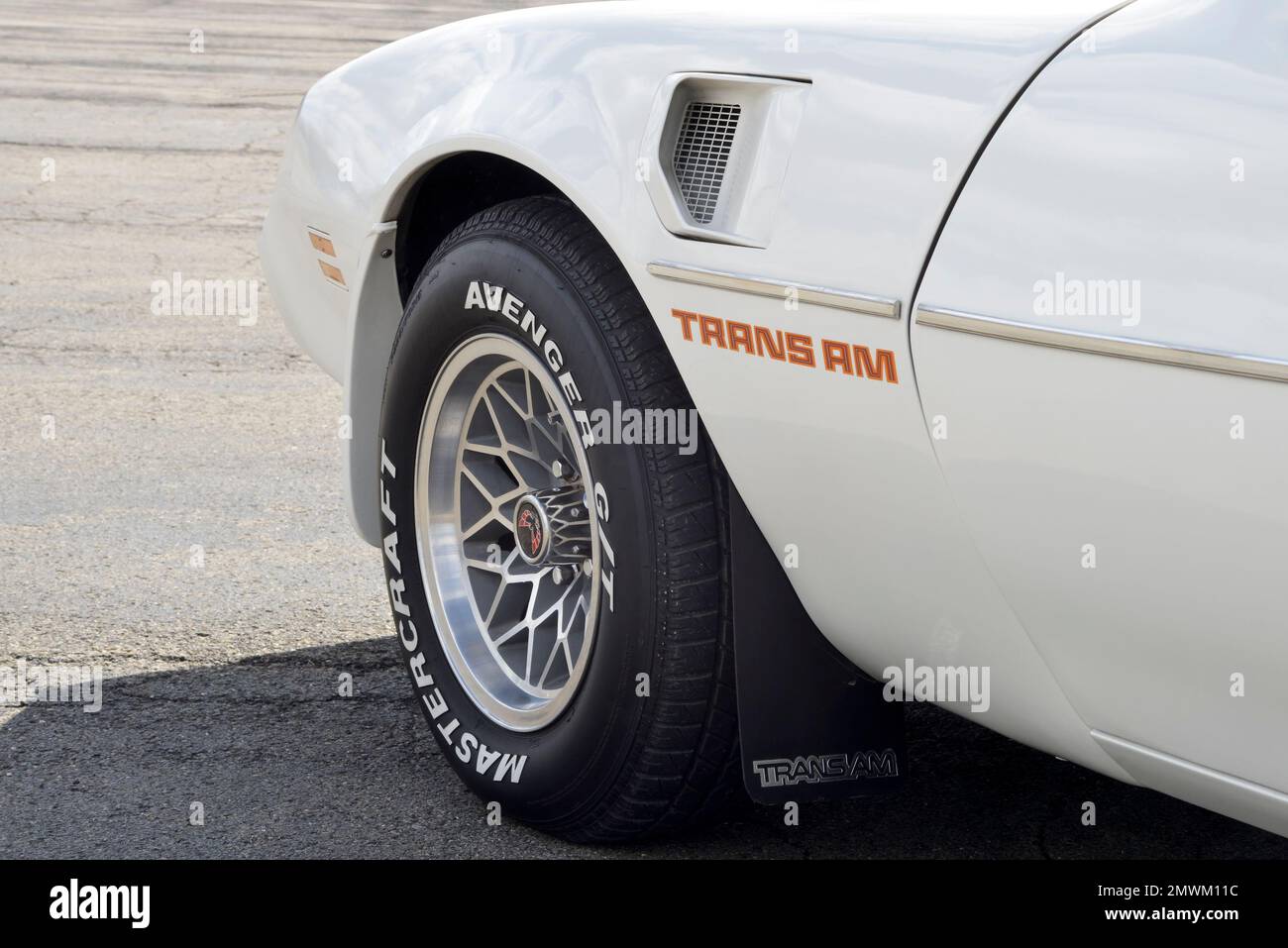 Air-intake and Trans Am lettering on the front fender above the cast ...