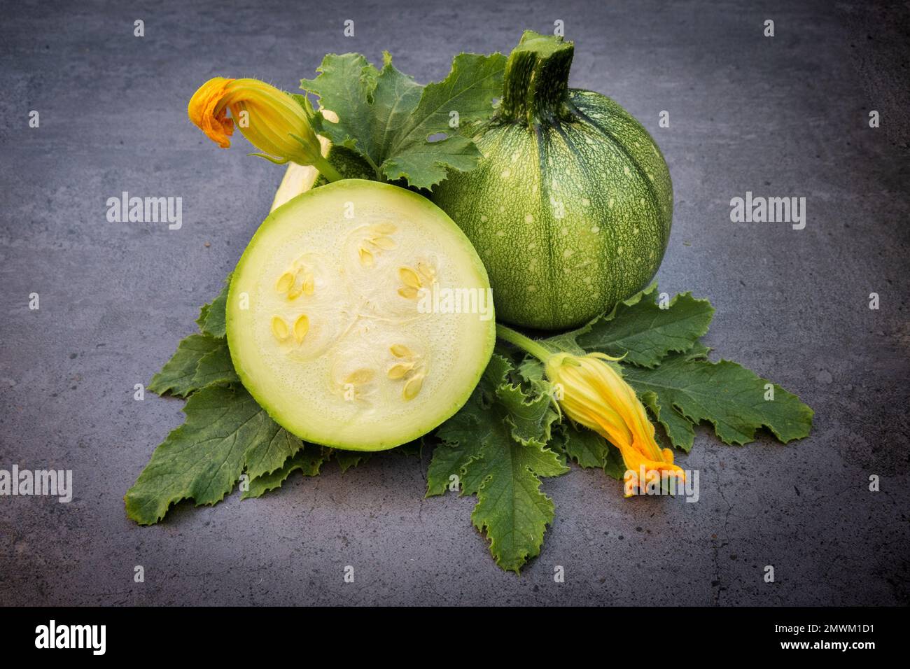The round courgettes on a dark background Stock Photo - Alamy