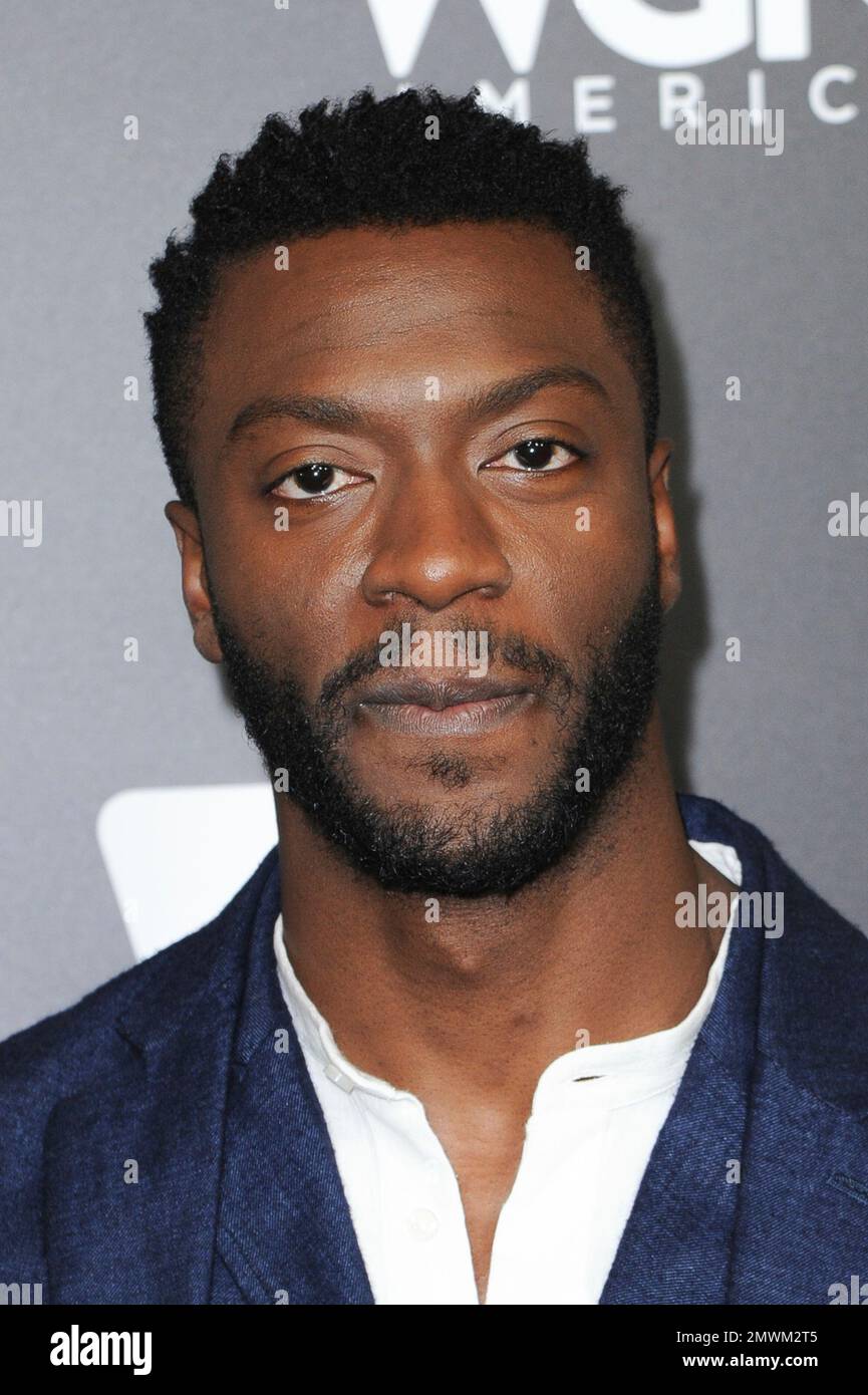 Aldis Hodge attends a photo call for WGN America's "Underground" at the ...