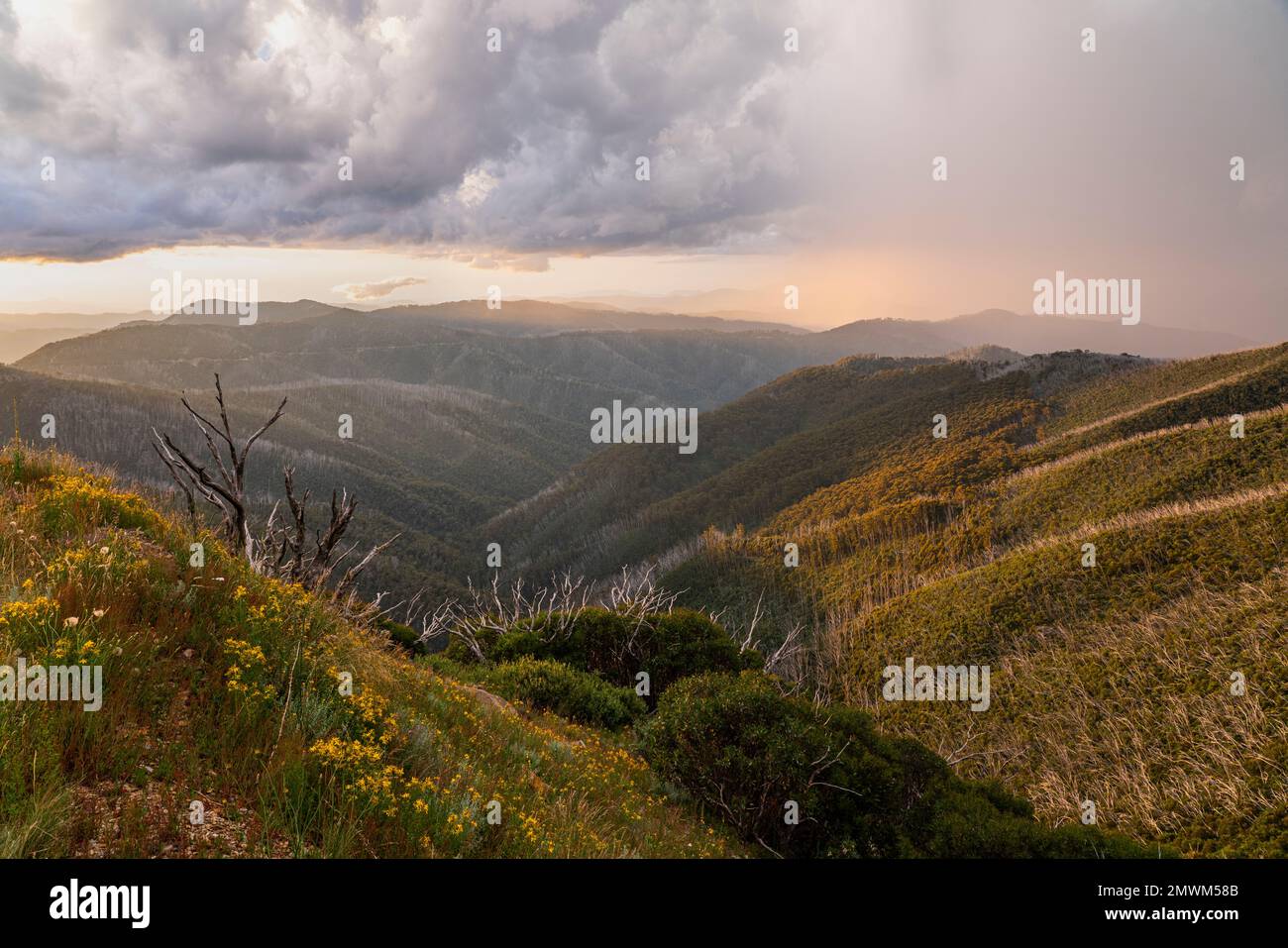 An aerial view of Victorian highlands near Mount Hotham during a summer ...
