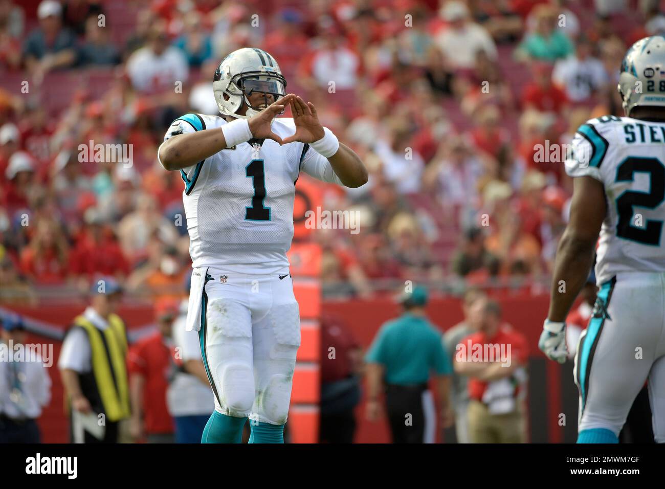 Carolina Panthers quarterback Cam Newton (1) signals a play during the ...