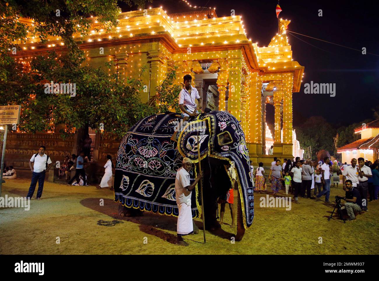 In this Thursday, Jan. 12, 2017 photo, Sri Lankan mahouts dress their ...