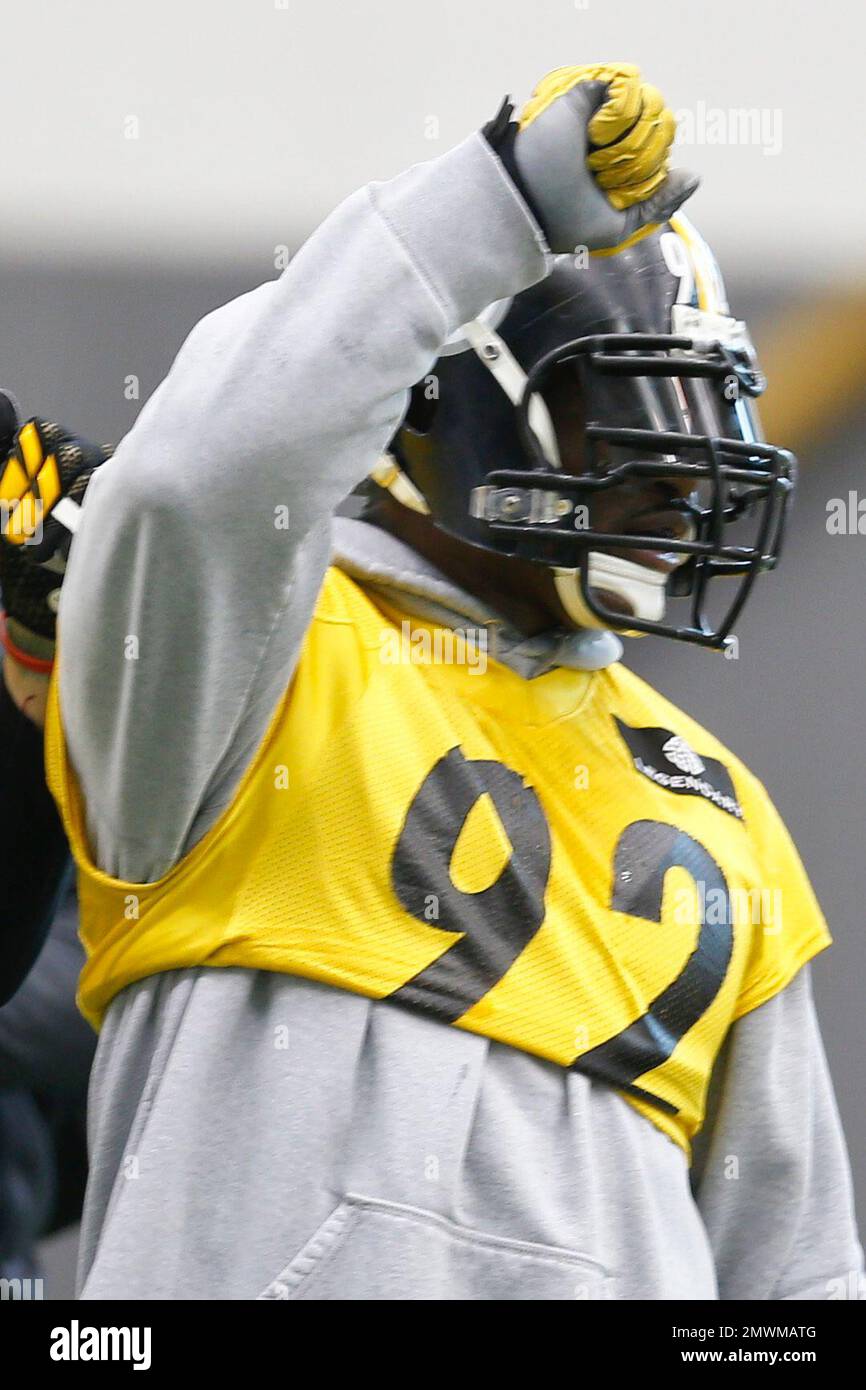 Pittsburgh Steelers outside linebacker James Harrison (92) during NFL ...