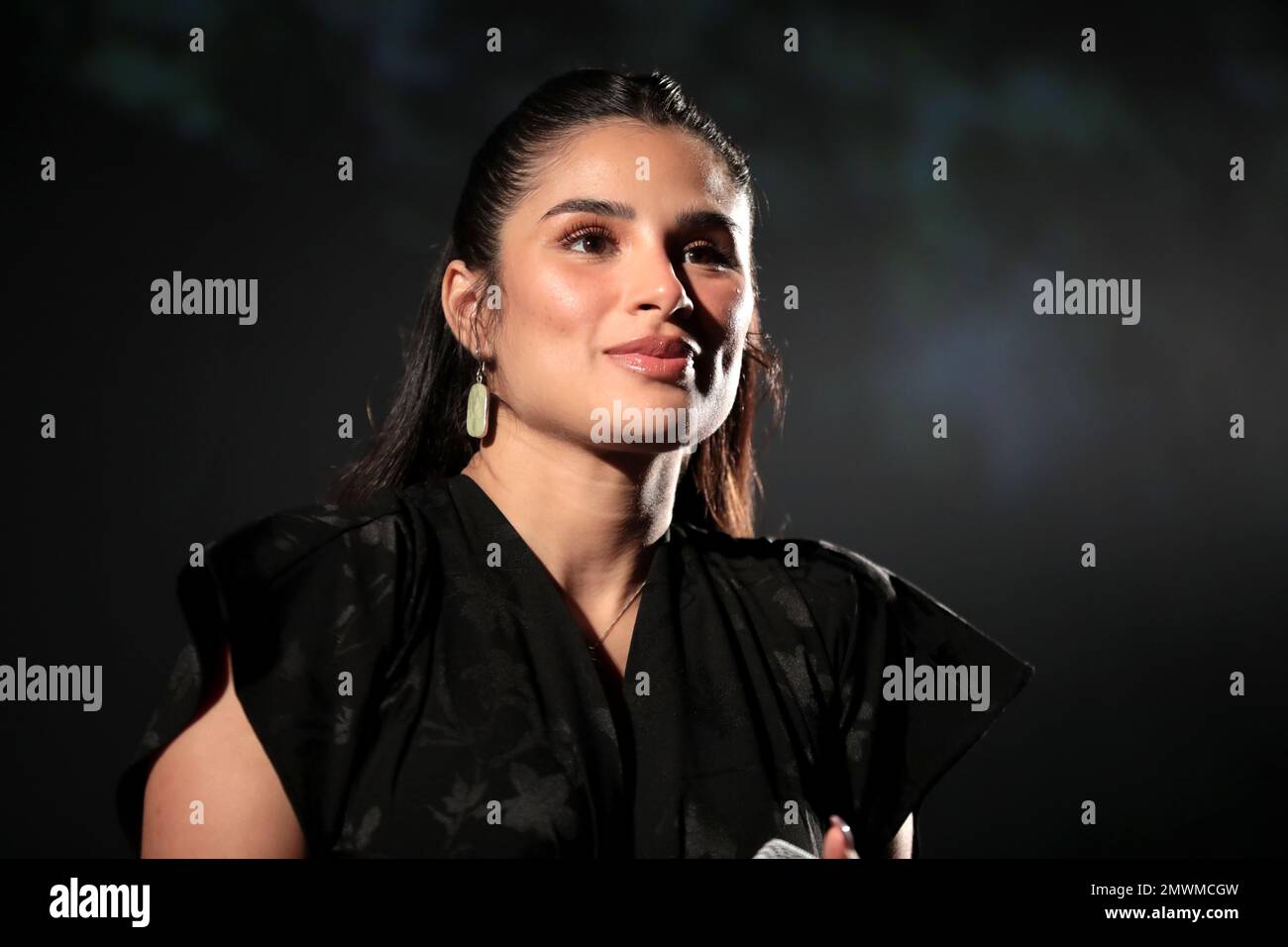 Diane Guerrero Actress