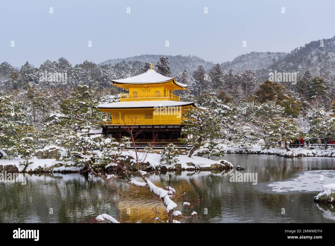 Snowy Kinkaku-ji Temple in winter. Famous tourist attraction in Kyoto ...