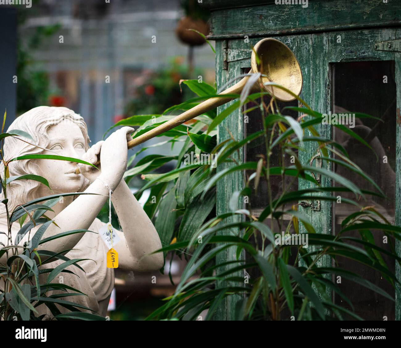 Long trumpet hi-res stock photography and images - Alamy