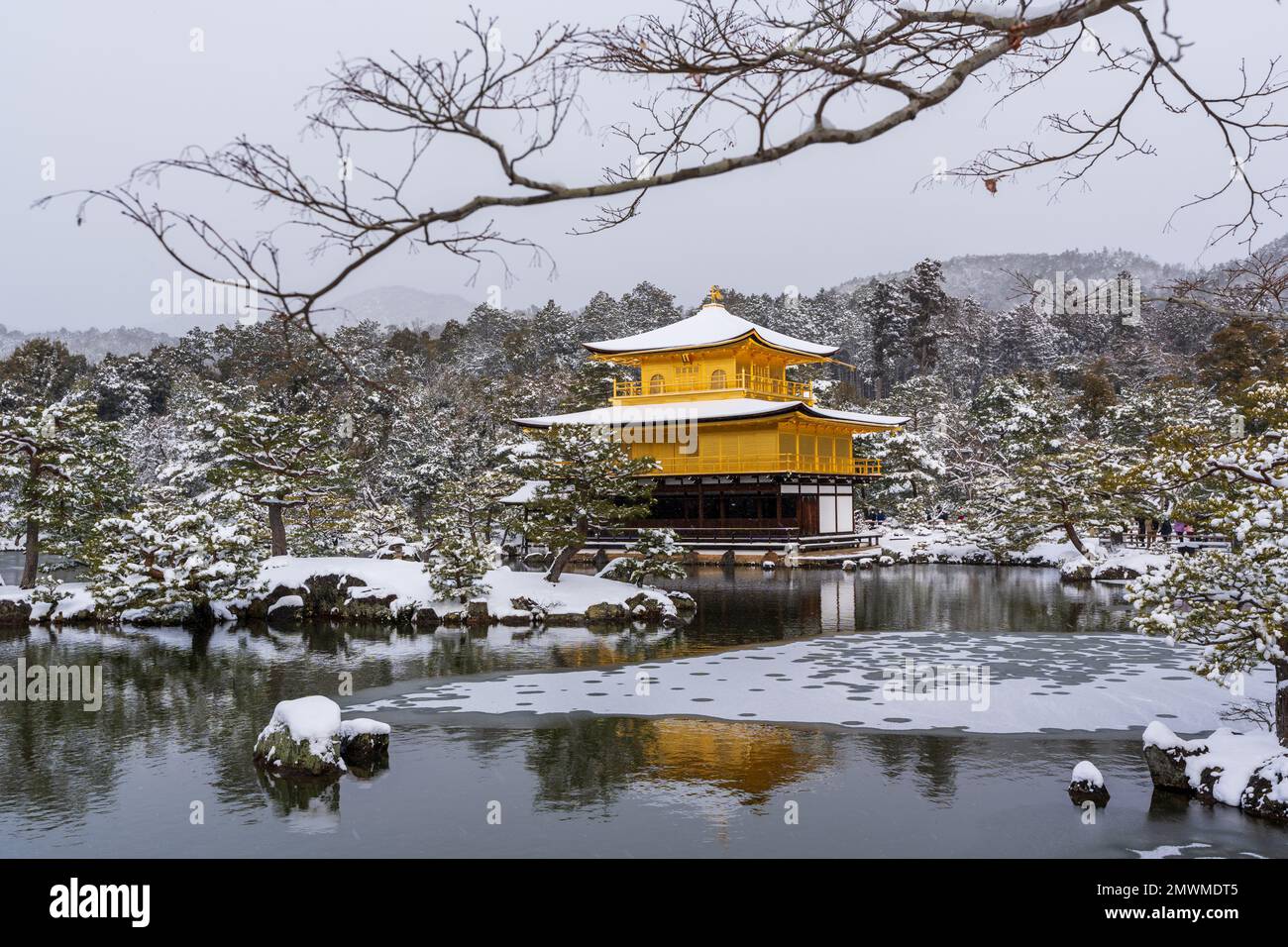 Snowy Kinkaku-ji Temple in winter. Famous tourist attraction in Kyoto ...