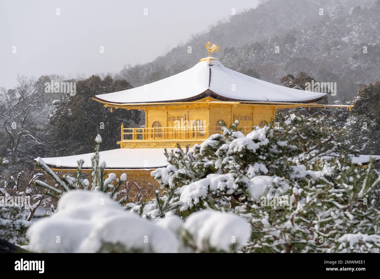 Snowy Kinkaku-ji Temple in winter. Famous tourist attraction in Kyoto ...