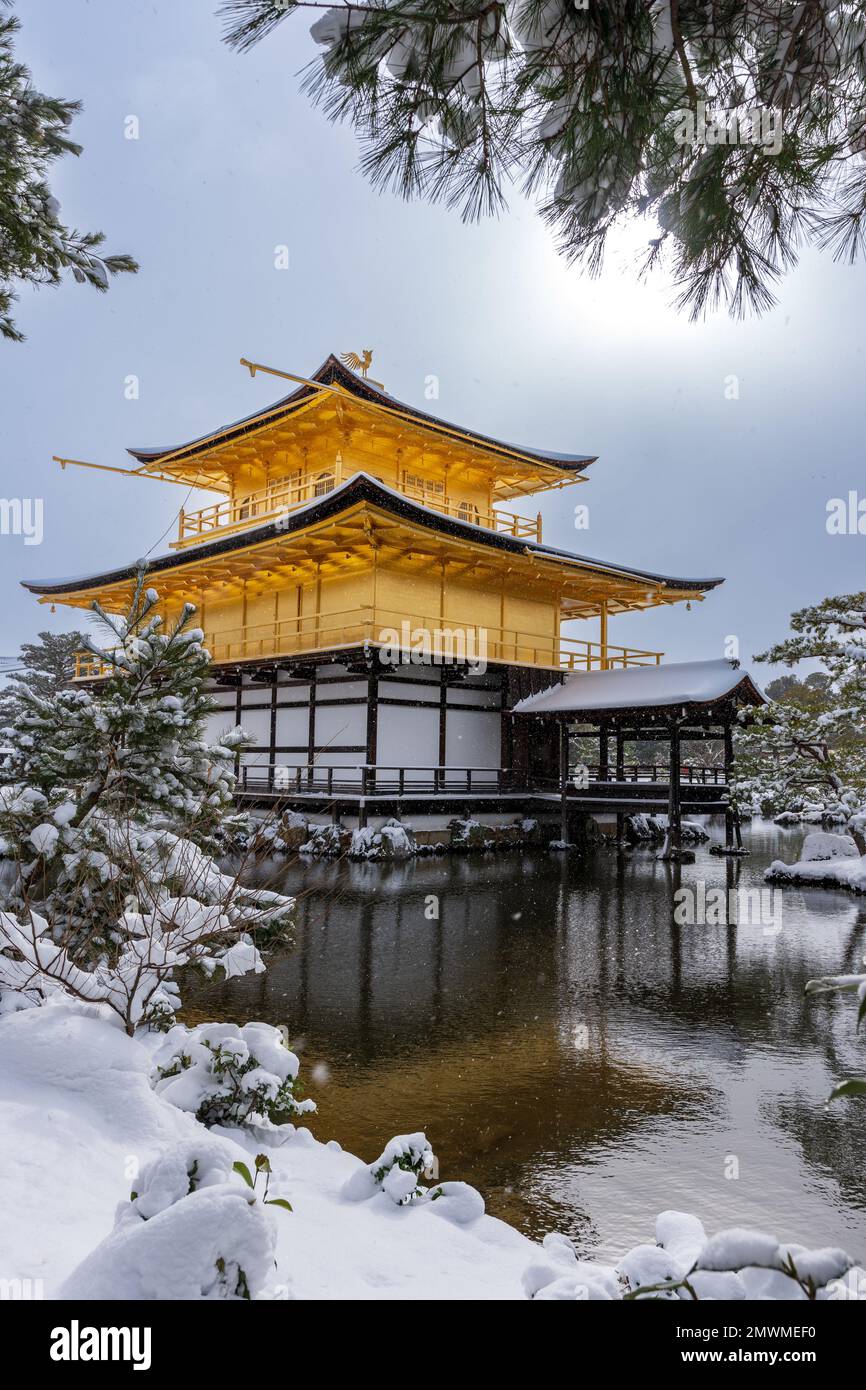 Snowy Kinkaku-ji Temple in winter. Famous tourist attraction in Kyoto ...