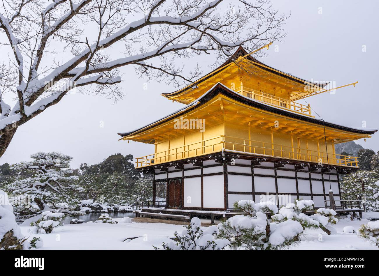 Snowy Kinkaku-ji Temple in winter. Famous tourist attraction in Kyoto ...