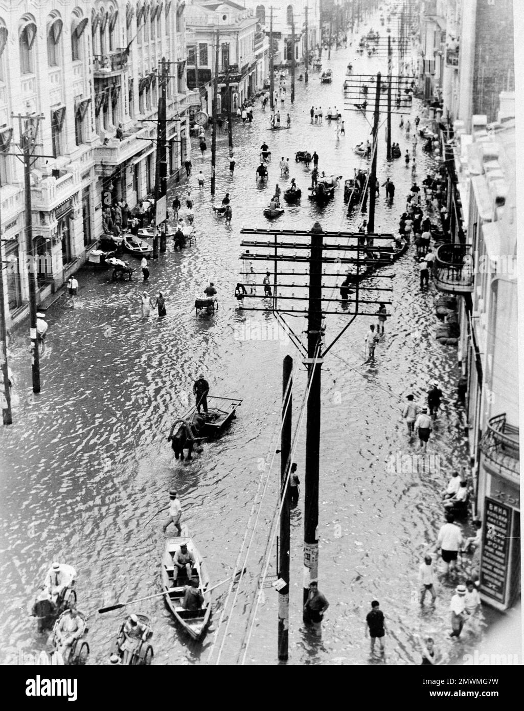 Chinese refugees are driven from their homes in the Chinese section of ...
