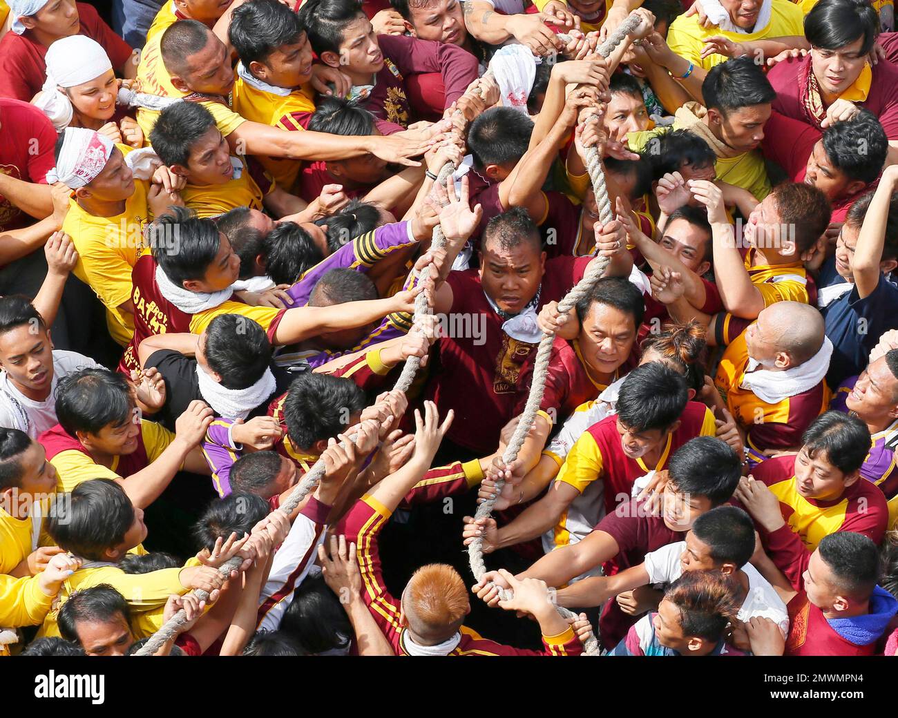 Filipino Roman Catholic devotees pull ropes that serve as a guide for ...