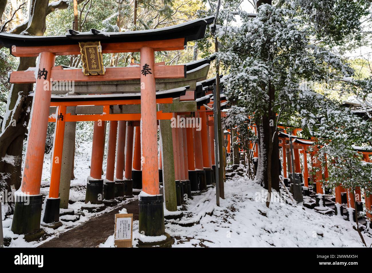 Torii gate in snow hi-res stock photography and images - Alamy