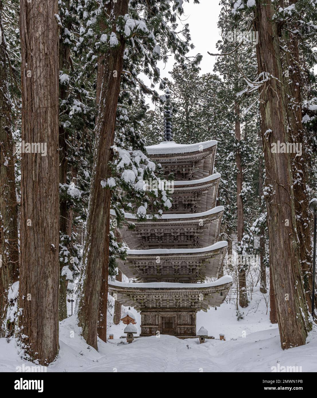 The five-storied pagoda in a forest of cedar trees with deep snow at ...